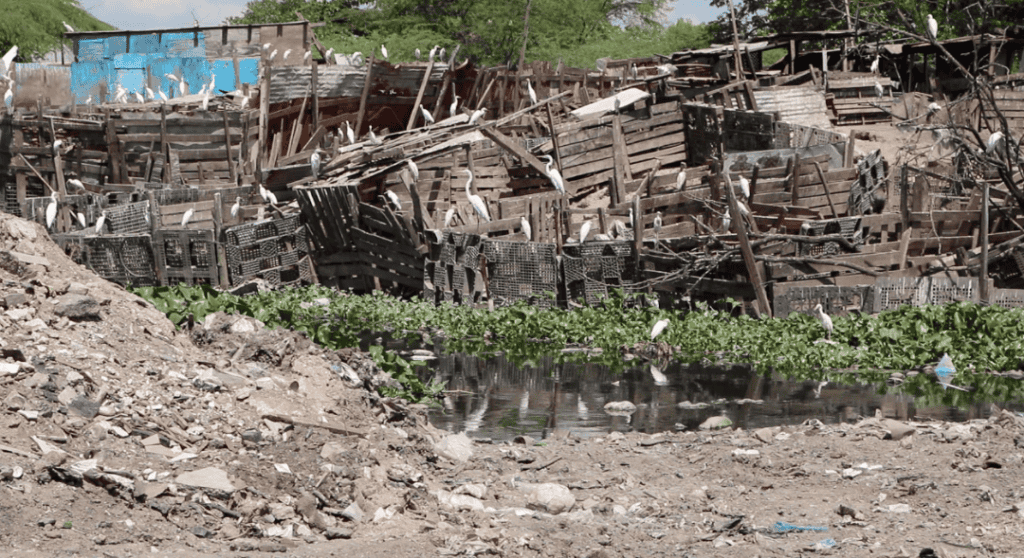 Learn: Communities in Garbage Dumps - International Samaritan